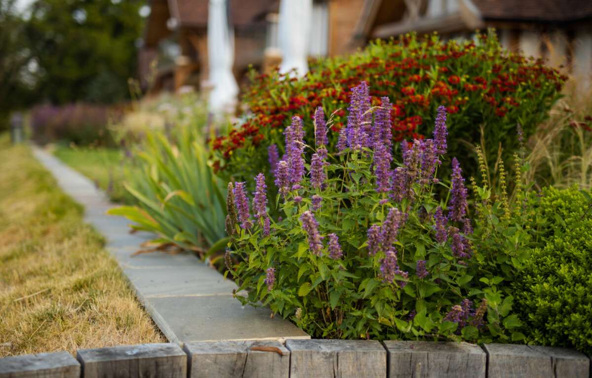 Planting On Limestone-based Soils - Nicholsons Plants Oxfordshire