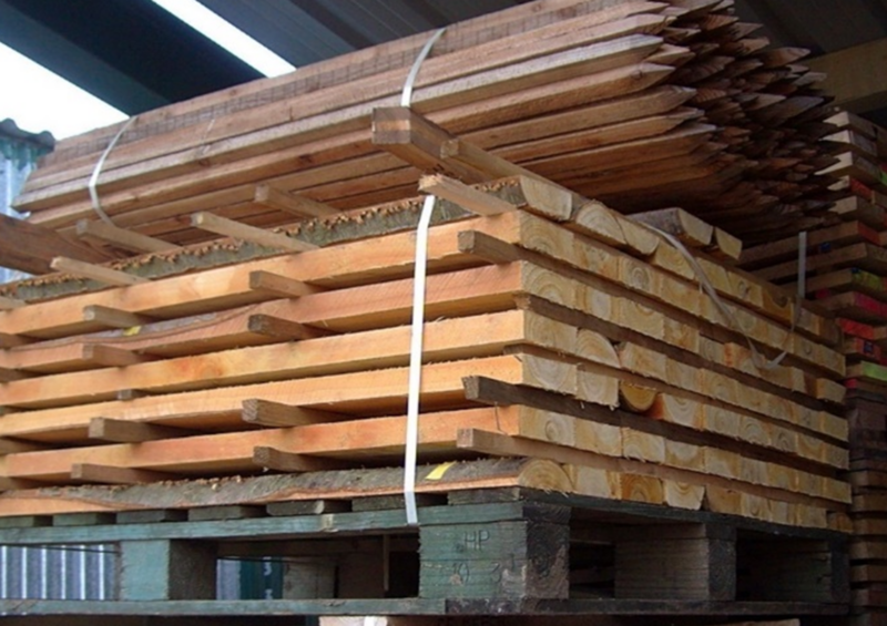 Forest Tree Blog Series: Wild Cherry - Nicholsons Forestry